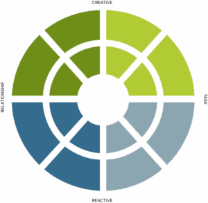 Leadership Circle Profile 360 Tool | Leaders Roadmap
